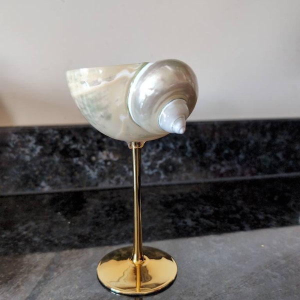 Elegant Goddess Flute Coupe Bachelorette Champagne Glass | Seashell ...