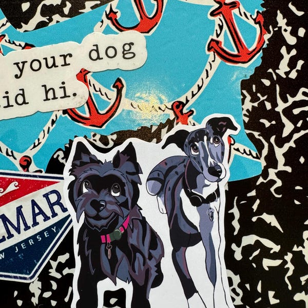 Set of 2 Vet Clinic Printable Posters, Vet Med Poster, Digital Download ...