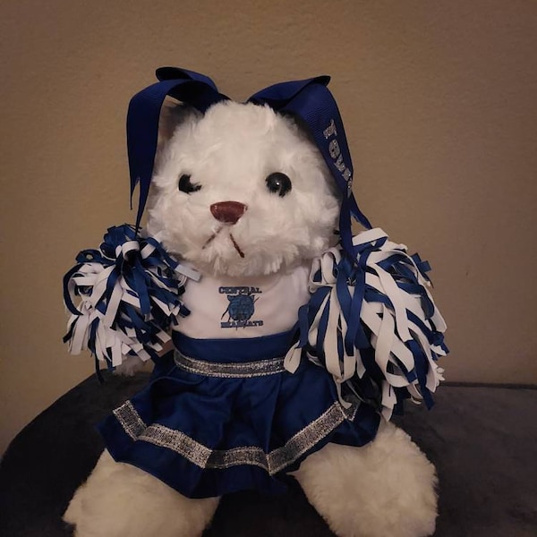Personalized Cheerleading Plush Bear, Custom All-star Cheer Bears ...