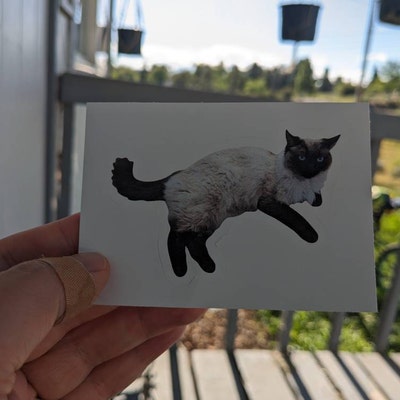 Custom Clear Acrylic Printed Logo With Standoffs, Any Color Floating ...