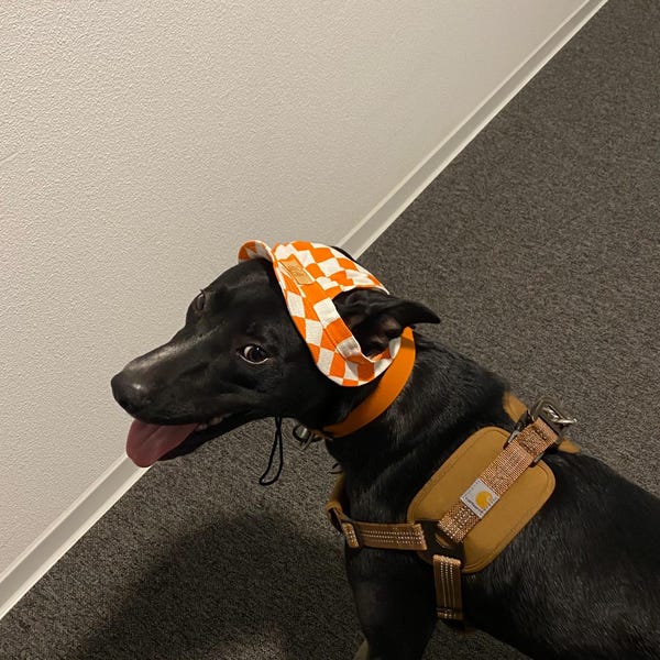 Corduroy Dog Hat | Bucket Hat | Puppy Hat | Dog Visor | Sun Protection ...
