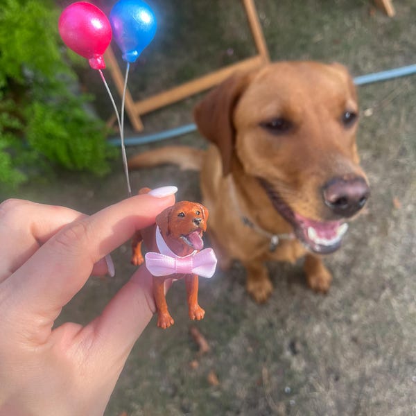 Unicorn Cake Topper With Balloons Present Stacks and Optional Cake ...
