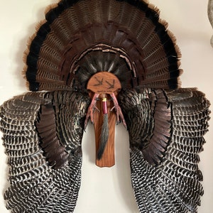 Turkey Wing Mount, Indian Head - Etsy