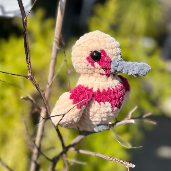 Crochet Pattern 3in1 Bundle: the Leggy Bug Collection- Amigurumi Bug ...