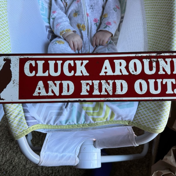 Cluck Around and Find Out Funny Chicken Coop Sign - Outdoor Safe Hen ...