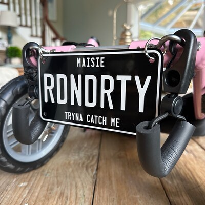 Custom Mini License Plate, Personalized for Your Special Spacecraft ...