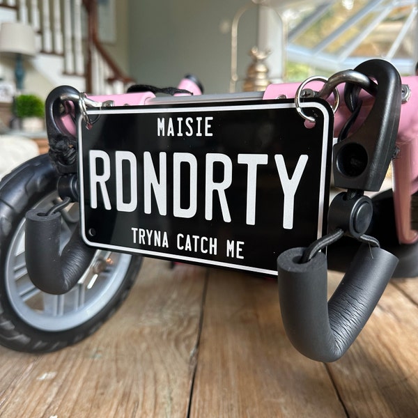 Custom Mini License Plate, Personalized for Your Special Spacecraft ...