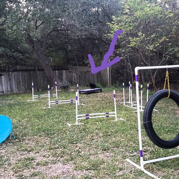 Dog Agility Equipment Construction Instruction Booklet - Etsy