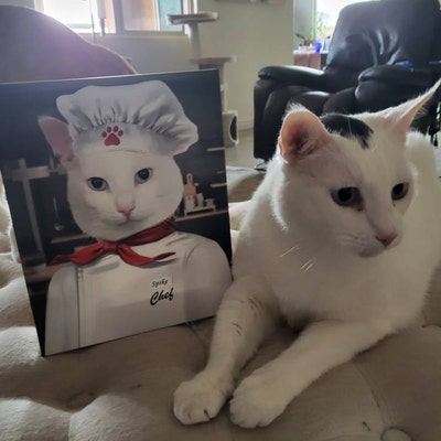Pet Portrait,custom Pet Portrait,chef Cat Portrait,personalized Pet ...