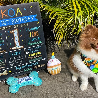 Dog First Birthday Sign, Puppy 1st Birthday Poster, Puppy First ...