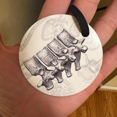 Anatomy Coasters Hostess Gift Graduation Doctor Nursing Medical Student ...