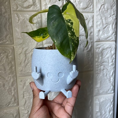 Middle Finger Happy Planter in ALL Colors Kawaii Planter, Planter With ...