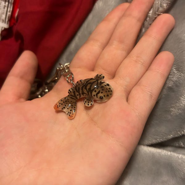 Catfish Fish (PREORDER) Sculpture Desk Friend Polymer Clay - Etsy