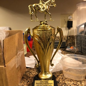 Race Cup Trophy 5K Running Winner Participant Free | Etsy