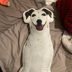 Custom Pet Pillow Personalized Pillow Pet Memorial Gift Custom Shaped ...