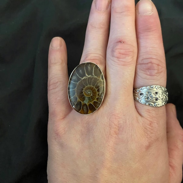 Ammonite Fossil Gemstone Silver Ring, Sterling Silver Ring, Fossilized ...