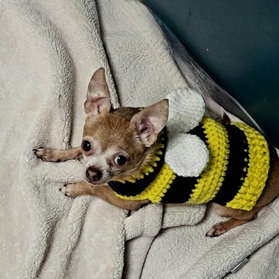 Bumblebee Dog Sweater / Halloween Costume Available in 4 Sizes - Etsy