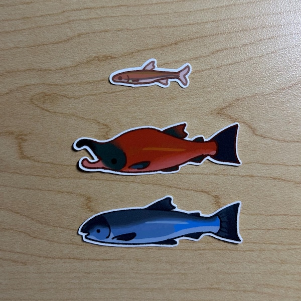 Domestic Silk Moth Stickers! (venezuelan Poodle Moth) - Etsy