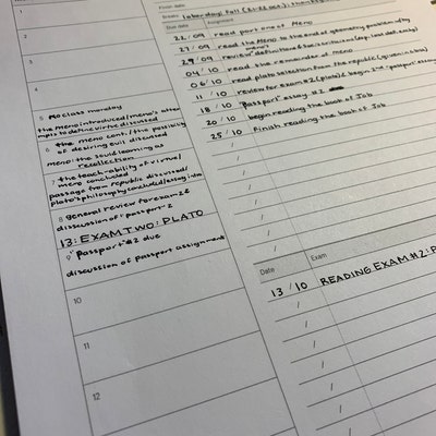 Essay Guide and Planner Printable Pack School, College, University ...