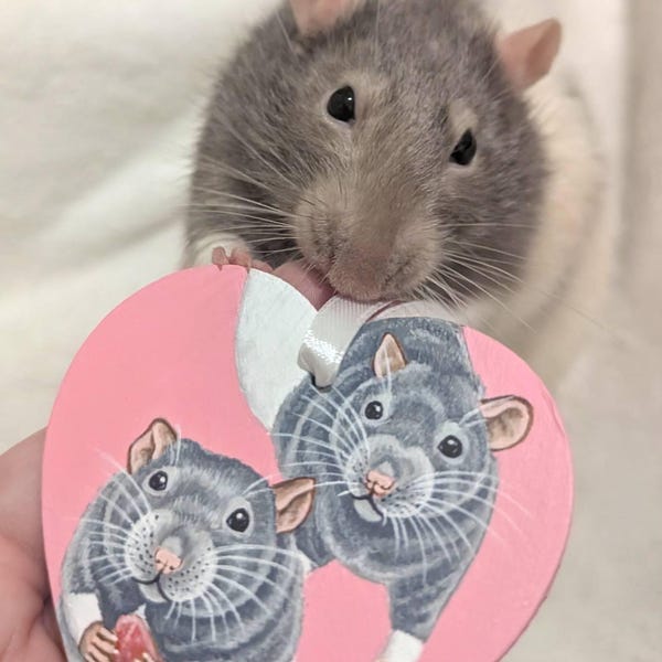 Thank You Rat Greetings Card, Thanks Note Card, for Rat Lovers, Vets ...