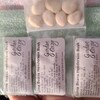 Cucamelon Seeds Heirloom, Open Pollinated, Non GMO Grow Indoors ...