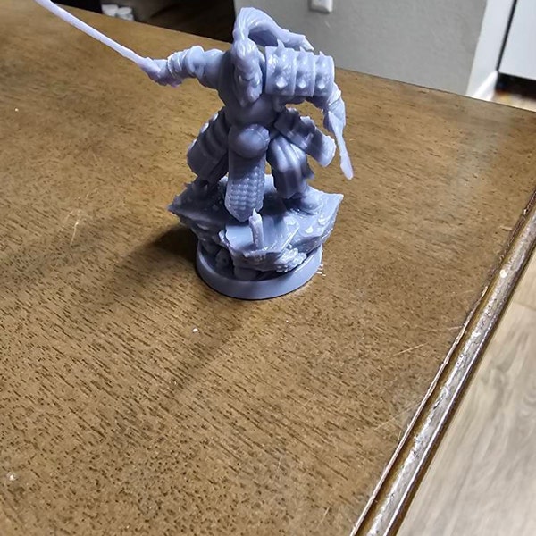 D&D Human Fighter/paladin | Standard Bearer | 3D Printed Resin ...
