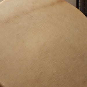 Terre Shaman-egg Huingo Shaker Handcrafted From Tutuma Seeds, Ethnic ...