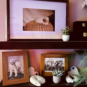 Black Frenchie Cremation Urn - Etsy