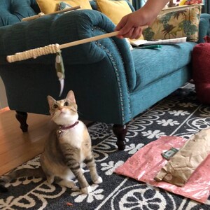 Cat Teaser Wand Cat Toy Star Cat Toys Wand Cute Cat Toys | Etsy