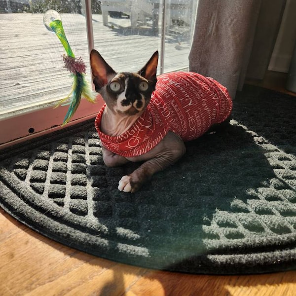 Sphynx Cat Shirt Fleece Sphynx Cat Clothes Hairless Cat Clothes Sphynx ...