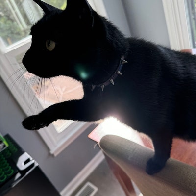 Leather Keychain, Bat Wing, Simple, Real Leather, Molded, Vampire ...