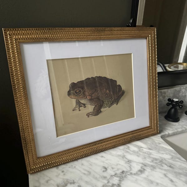 Albrecht Durer Young Rabbit Watercolor 1502 Antique Vintage Home Decor ...
