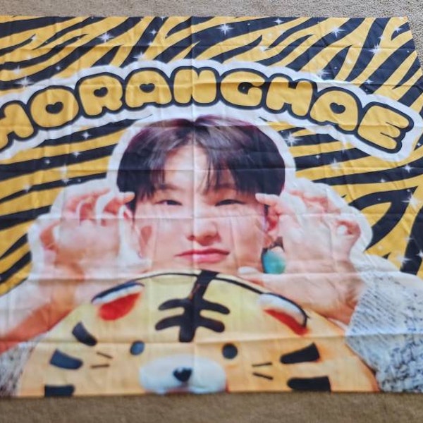 SKZ Hyunjin Hot Girls Concert Banner, Stray Kids Members Kpop Flag, Skz ...