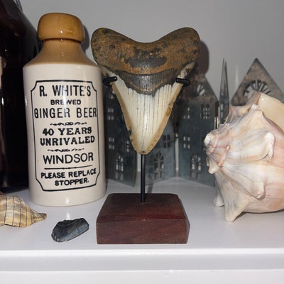 Meg Tooth Stand. Wood and Metal Elegant and Sturdy Mount for - Etsy