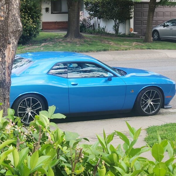 Ecoboost Ecobeast Decals for Ford Vehicles - Etsy