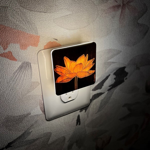 The Lotus (night Light, Lotus Flower, Art Prints, Lotus Seeds, Lotus ...