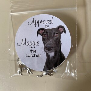 Weight Loss Comparison Stickers Diet Friendly Visual Aid - Etsy UK