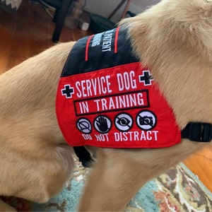 1 Patch IGNORE ME 8 Inches X 3 Inches Sew On Customizable | Etsy