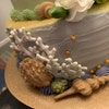 Hard Candy Edible Sugar Shells Very Detailed Cupcake or - Etsy