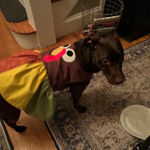 Kati Lou Dog Dress and Dog Blouse Sewing Pattern 1551 Dog - Etsy