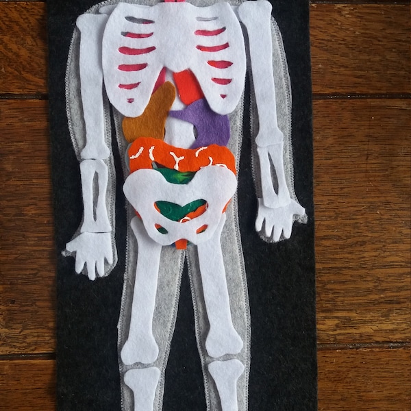 Felt Anatomy Play Set: Body Organs & Skeleton SVG (PDF Pattern) - Etsy