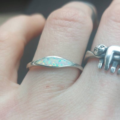 Moon Snail Shell Tanea Lineata 24k Gold Plated Trim Pendant Sea Pendant ...