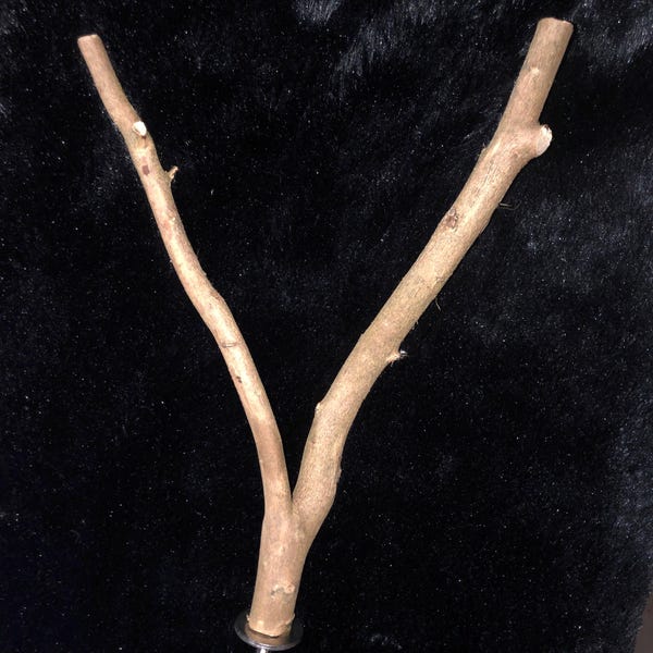 Natural Wood Bird Perch - Etsy