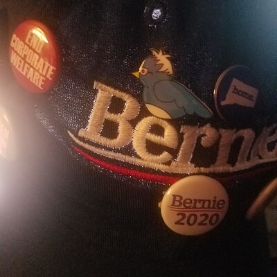 Bernie Sanders Pin Badge Birdie 2020 Revolution Not - Etsy