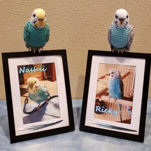 Blue White Budgie Stuffed Animal Realistic Parakeet Plush - Etsy