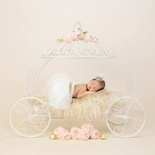 Princess Pink Newborn Digital Backdrop Carriage Elegant Dainty Cream ...