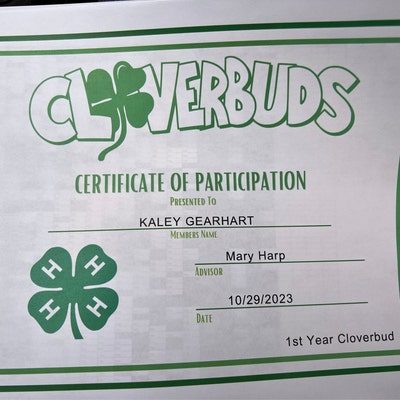4-H Year End Certificates, Printable 4H Participation Certificate PDF ...