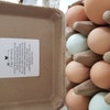 Egg Handling Stickers - Chicken Stickers - Farm Fresh Stickers - Egg ...