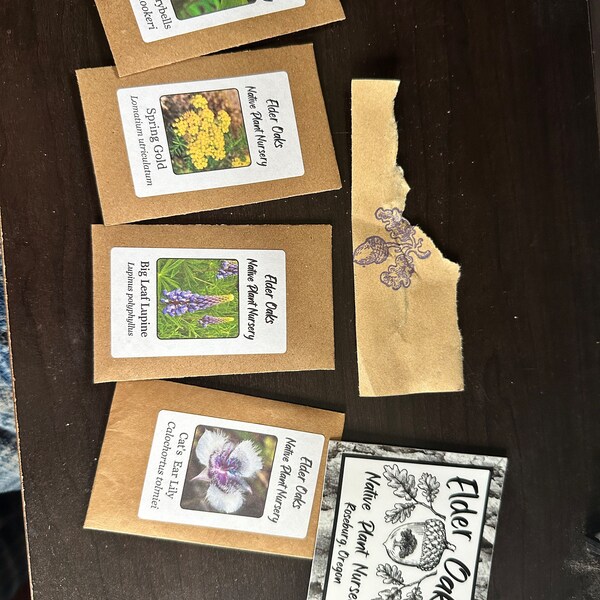 Checker/chocolate Lily (fritillaria Affinis) ~ 100 Seeds *pacific ...