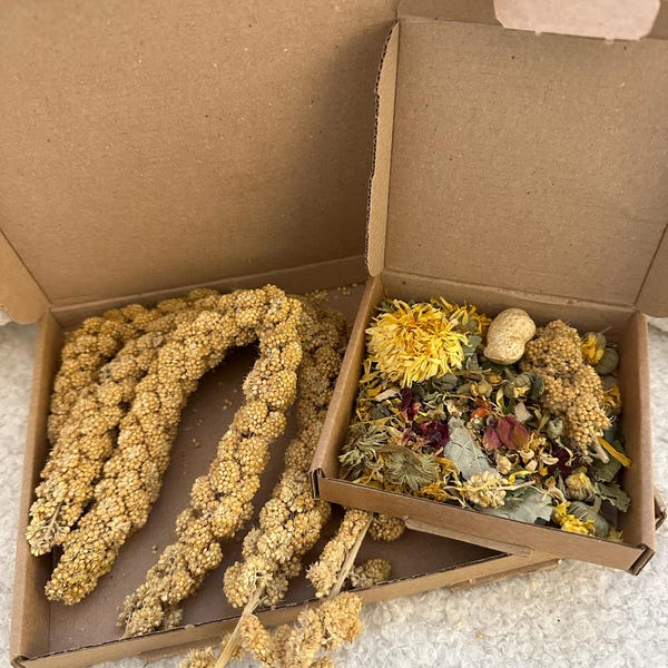 Forage Box Rabbits, Guinea Pigs, Hamsters, Rats - Etsy UK